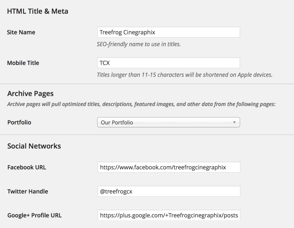 Canopy SEOcial | Treefrog Cinegraphix